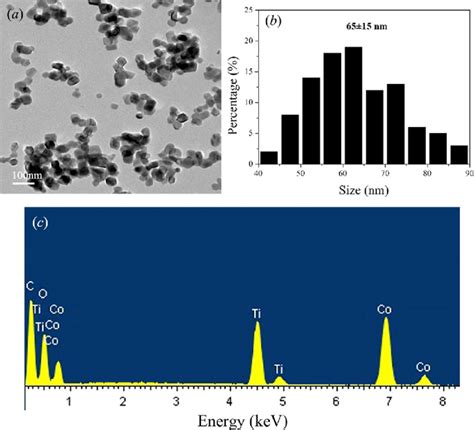 A Transmission Electron Micrograph B Size Distribution And C