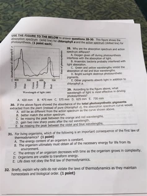 Why Are Absorption Spectrum And Action Spectrum Chegg Com