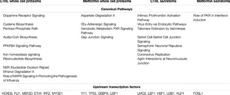 IPA Analysis Followed By Venn Diagram Download Scientific Diagram