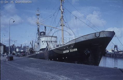 Willkommen Auf Der Anton Dohrn Website Welcome To The Anton Dohrn Website 28 January 2011