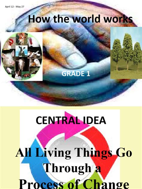 Lifecycles Pdf Learning Product Lifecycle