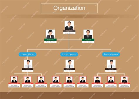 조직 차트 정보 그래픽 프리미엄 벡터
