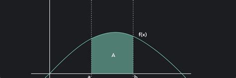 Understanding Integrals In Calculus Novo Learner