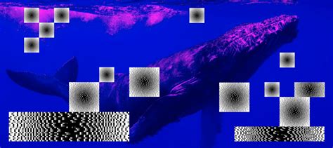 What Is Docker Why Do You Need It And How To Use It