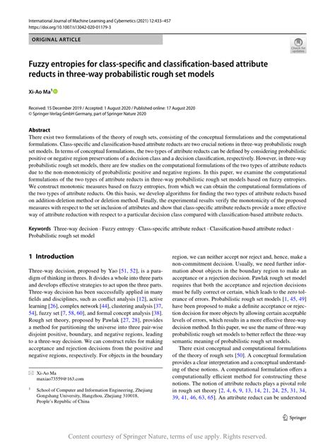 Fuzzy Entropies For Class Specific And Classification Based Attribute