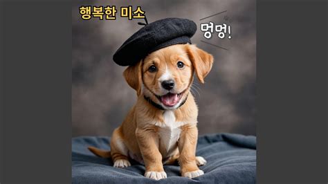 행복한 미소 Youtube