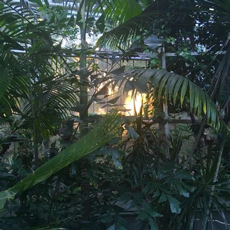 Stream Path Revisited Amplidine Effect By Transonic Label Listen