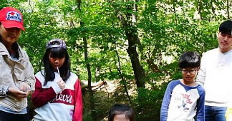 자연과 함께하는 놀이 체험활동