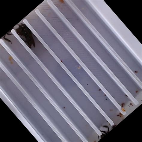 Proj Object Detection Dataset And Pre Trained Model By Projeto