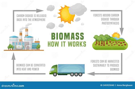 Biomass Energy Landscape Poster With Useful Infographics Vector