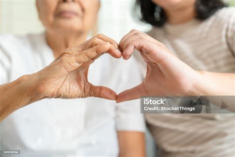 하트 사인 손 제스처 공생 개념을하는 젊은 여성과 노인 여성 노인에 대한 스톡 사진 및 기타 이미지 노인 손 어머니 Istock