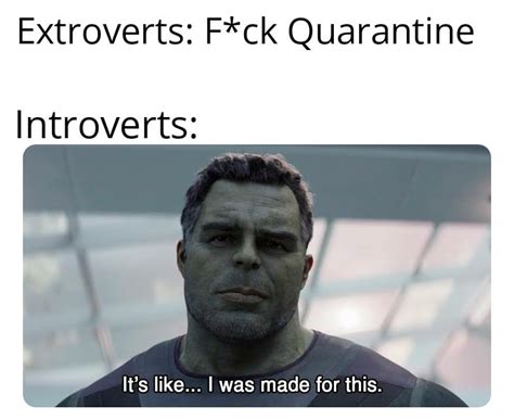Happiness Of Introvert Happiness Of Extrovert R Introvertmemes