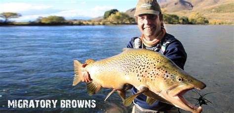 Fly Fishing Guides Bariloche Patagonia