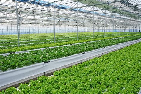 충남도 스마트팜 신축 청년에 최대 3억 지원 뉴스프리존