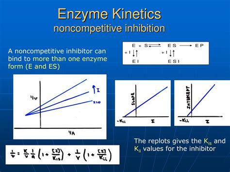 Ppt Enzyme Kinetics Powerpoint Presentation Free Download Id