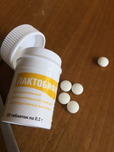 Лактобифид для кошек и собак: инструкция по применению, отзывы, цена ...