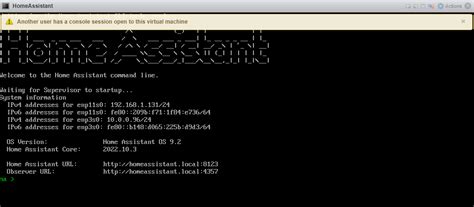 Home Assistant Os Generating Ipv6 Address Even Though Ipv6 Is Disabled