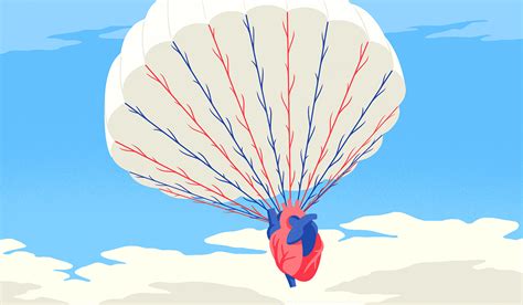 External Perfusion Offers Softer Landing For Donor Hearts