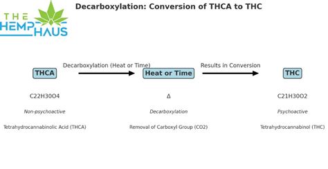 Buy Thca Flower Benefits Price Online The Hemp Haus Dispensary