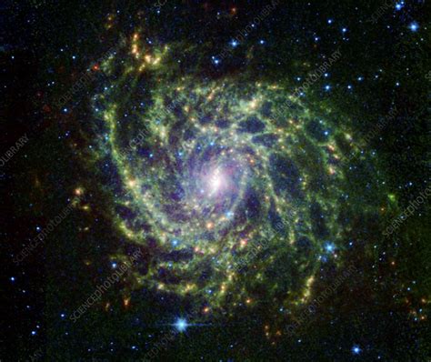 Ic 342 Spiral Galaxy Infrared Image Stock Image C012 1939 Science Photo Library