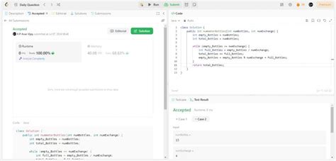 100 Days Of Leetcode From Code Cadet To Algorithm Architect 👨‍💻💻