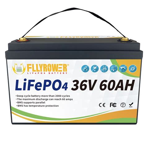 Flypower Lifepo4 철 인산염 에너지 배터리 팩 122436v 30 80 100 200ah 골프 카트 Rv