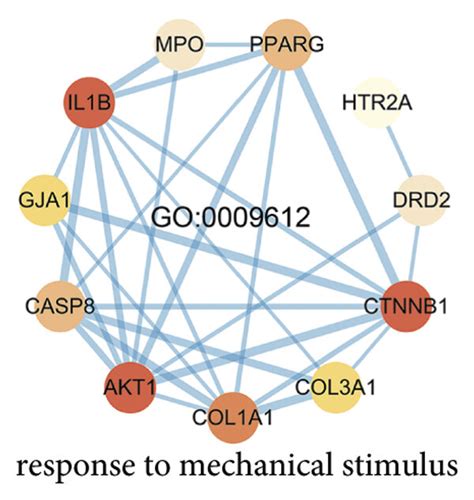 Go Analysis Of The Common Targets A The Top 20 Bp Enrichment