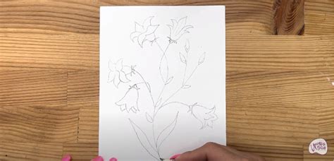 Как нарисовать цветок Колокольчик карандашом и акварелью для начинающих Рисунок поэтапно и