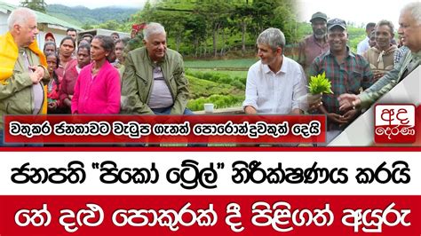 ජනපති පිකෝ ට්‍රේල් නිරීක්ෂණය කරයි වතුකර ජනතාවට වැටුප ගැනත් පොරොන්දුවකුත් දෙයි Youtube