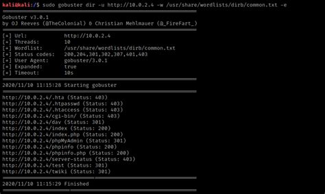 Find Hidden Files And Web Directories With Gobuster By Boojib0y The