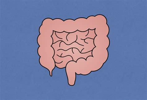 Ileus Postoperative Surgery Student