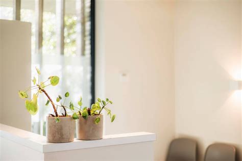 Wat Is Loopbaanbegeleiding