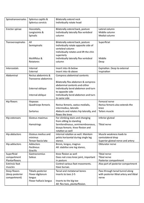 Muscles Table With Muscle Location And Function Spinotransversale S Splenius Capitis Studocu