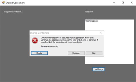 Msix Shared Containers How To Access Resources Between Different