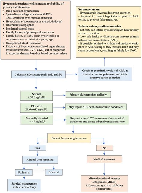 Primary Hyperaldosteronism Secondary To Right Adrenal Hyperplasia With Non‐functioning Left