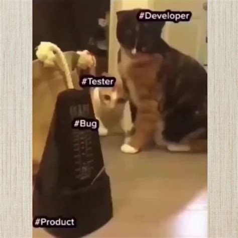 Deepak Kumar Agrahari Posted On Linkedin