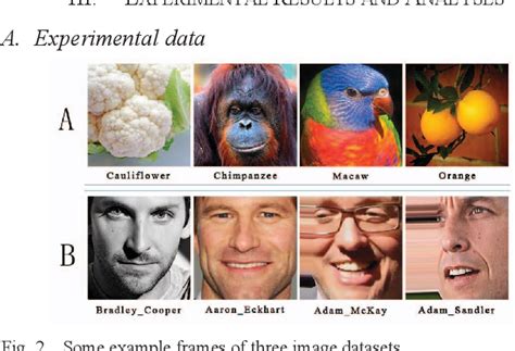 Figure 1 From Topological Higher Order Neuron Model Based On Homology Continuity Principle
