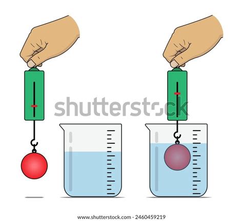 Weigh Mass Object Water Using Spring Stock Vector Royalty Free