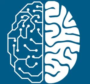 ZeroGPT AI Content Detection And Language Tools Appscribed