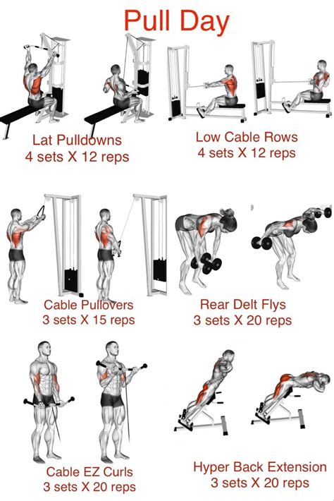 Pin By Julia Hansen On Health Gym Workout Guide Pull Day Workout