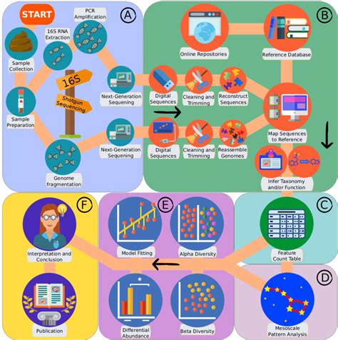 From Stool To Story Overview Of What A Typical Gut Microbiome Analysis Download Scientific