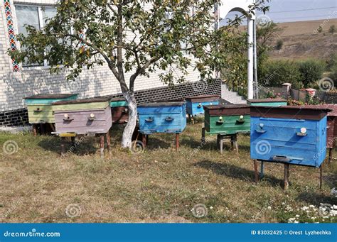 Amateur Apiary Near The House 2 Stock Illustration Illustration Of Health Apiary 83032425