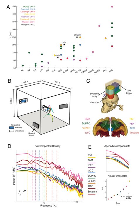 Overview Of Neural Timescales And Experimental Design A Hierarchical Download Scientific