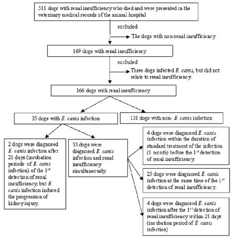 Flowchart Of Case Selection Download Scientific Diagram