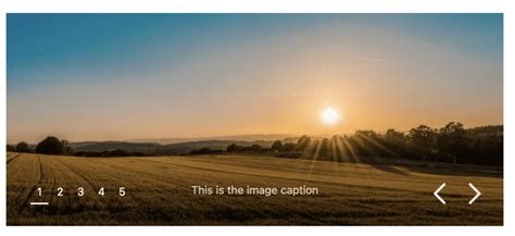 Other Themes Available For Slideshows Metaslider