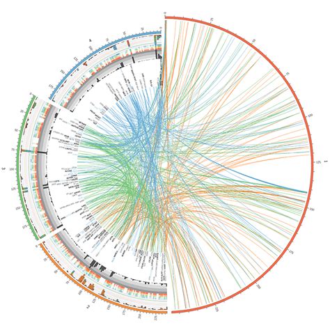Circos Tutorials Quick Start Text Circos Circular Genome Data