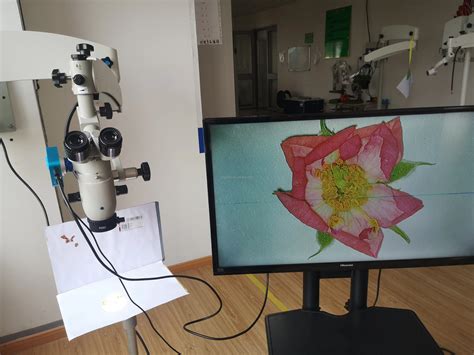 Dental Endodontic Microscope Precision And Reliability