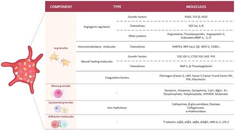 Beneficial Effects Of Infiltration Of Platelet Rich Plasma In The