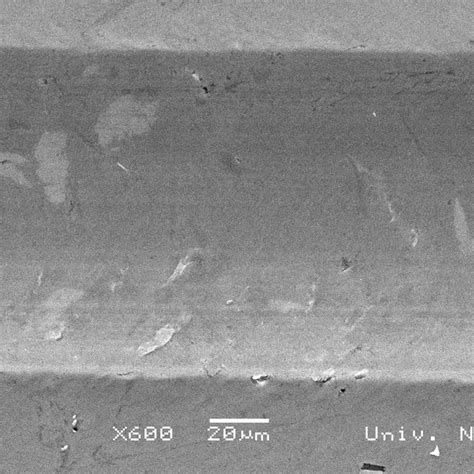 Sem Micrographs Of Scratch Track On Sample 3 A Region Without