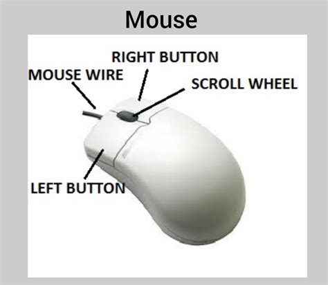 How To Use Computer Mouse